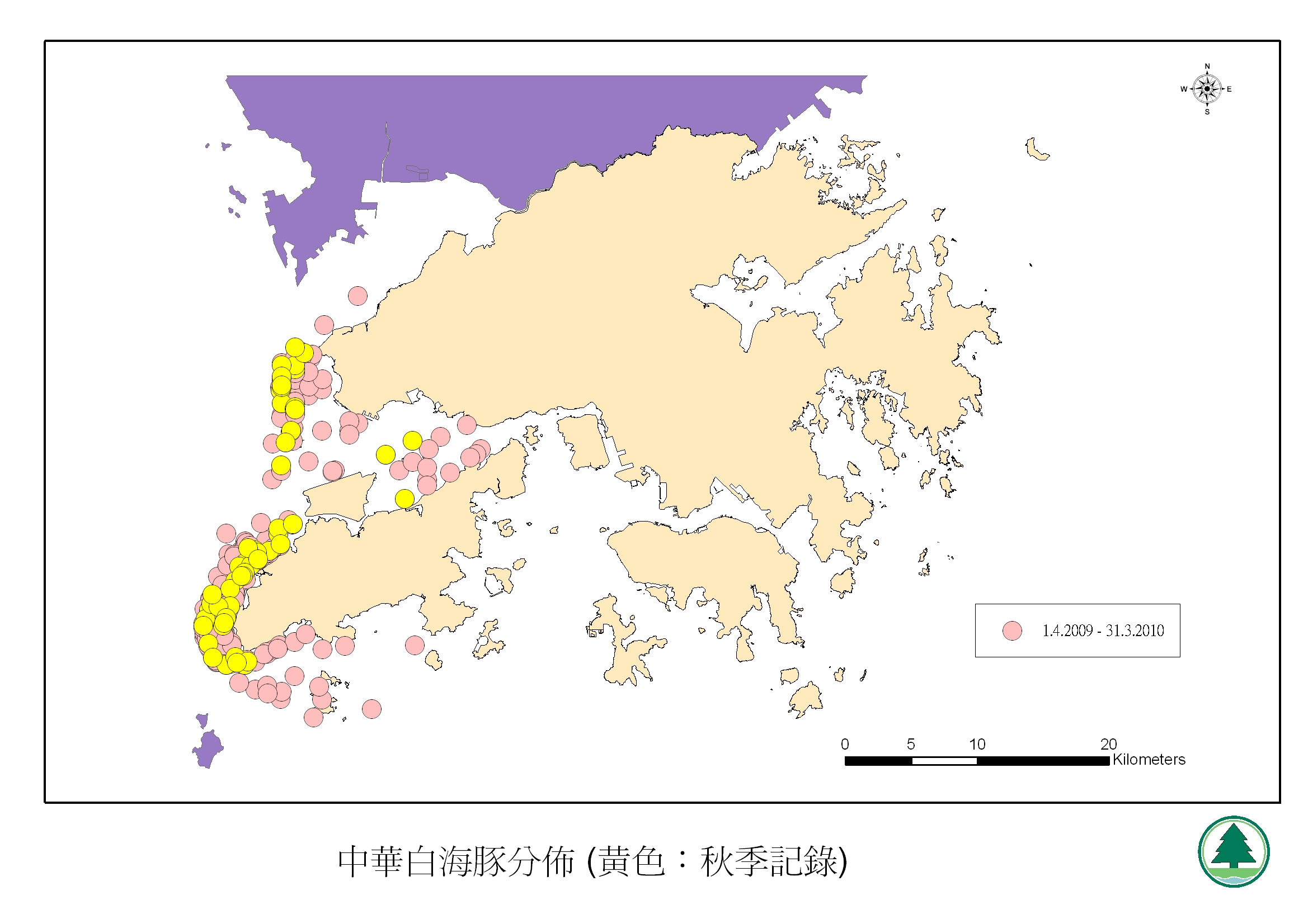 中華白海豚