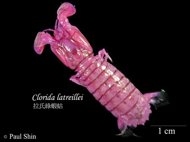多媒體展覽室