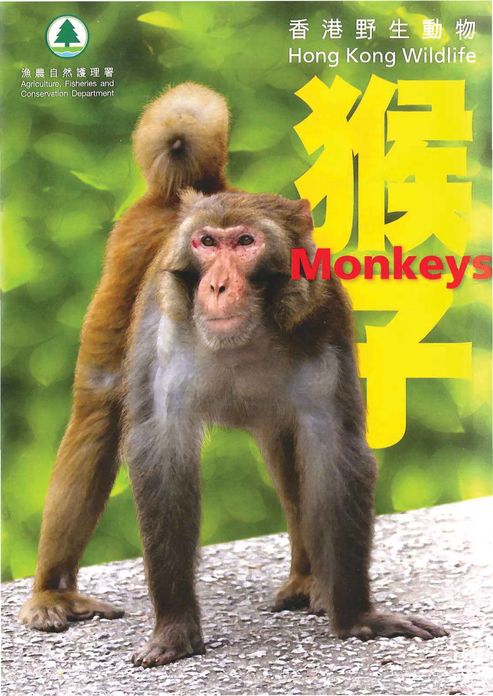 Nuisance Caused by Monkeys