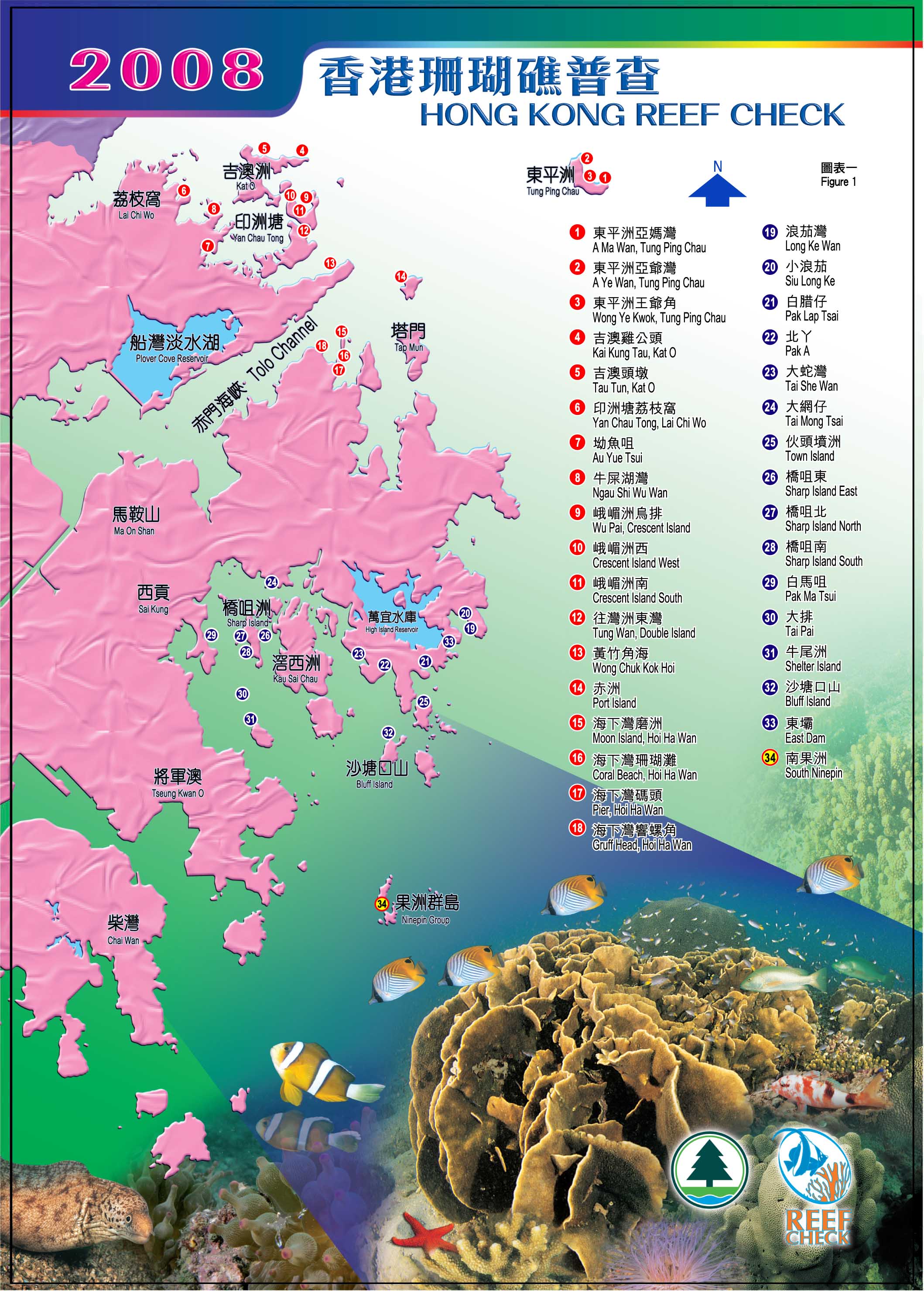 AFCD Hong Kong Reef Check 2008