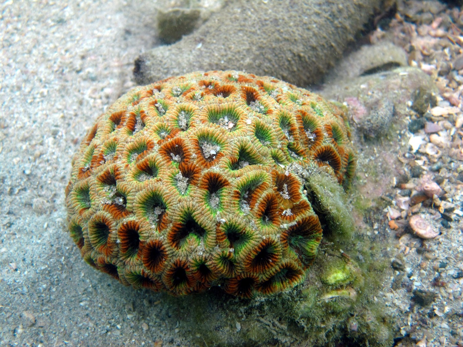 Education and Publicity