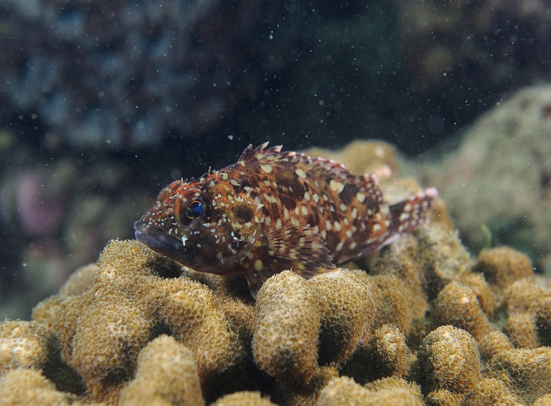 Education and Publicity