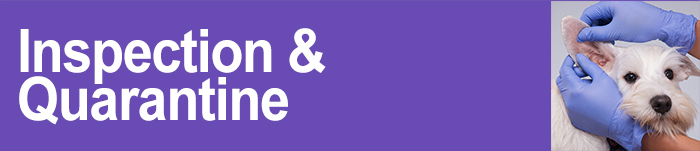 Import of Animals and Birds